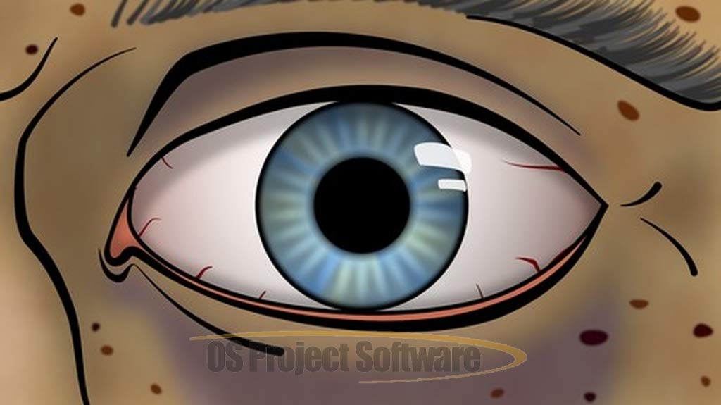 Buy Synfig 2D - Vector Based Animation Studio Software Create Cartoon ...