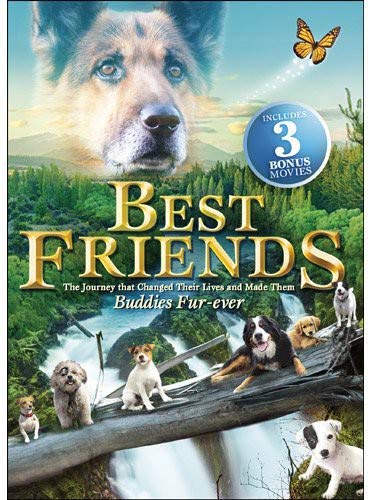 Amazon.com: Best Friends (Includes 3 Bonus Movies) : Greg Evigan, Bill ...