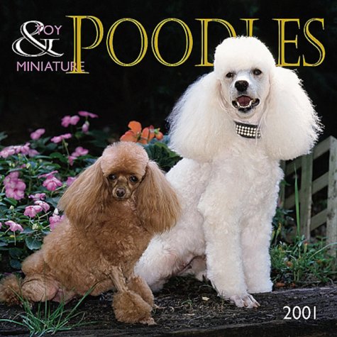 Toy and Miniature Poodles 2001 Calendar: 9780763133597: Amazon.com: Books