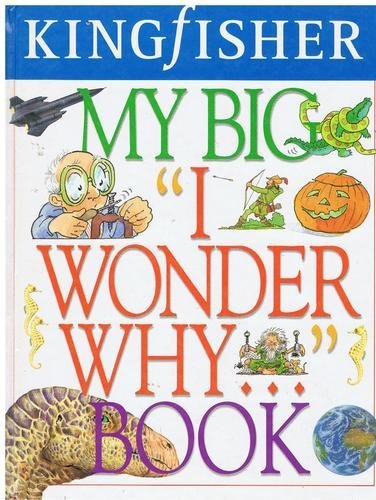 My Big "I Wonder Why" Book: Anon: 9780753404386: Amazon.com: Books