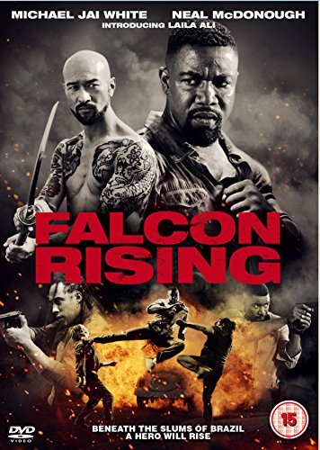 Falcon Rising [DVD] by Michael Jai White: Amazon.es: Películas y TV