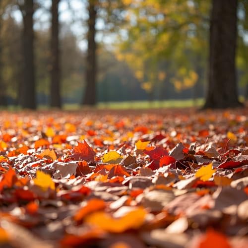 Play What Meaning Has This Longing by IYYEK OD on Amazon Music Unlimited