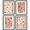 Amazon.com: Abstract Boho Black flowers Plant Poster Prints for Home ...