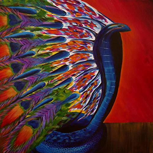 Play Snake Charmer by Jonah Fox on Amazon Music