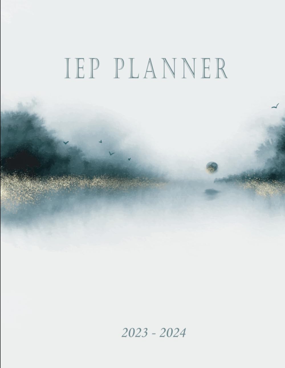 IEP Planner 2023-2024: IEP Organizer and Caseload Record Book for ...