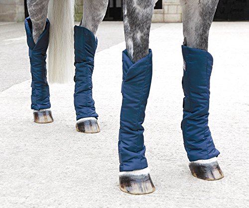 Top 10 Best Shipping Boots For Horses : Reviews & Buying Guide - Katynel