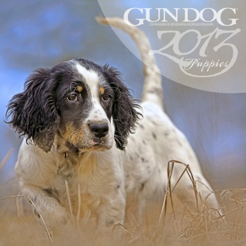 2013 Gun Dog Puppy Calendar: Gun Dog: 9781934622032: Amazon.com: Books