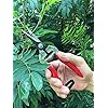 Amazon.com : gonicc Professional Micro-Tip Pruning Snip (GPPS-1008 ...