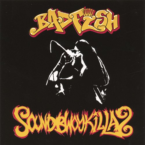 Amazon.com: Soundbwoy Killas : Badfish: Digital Music