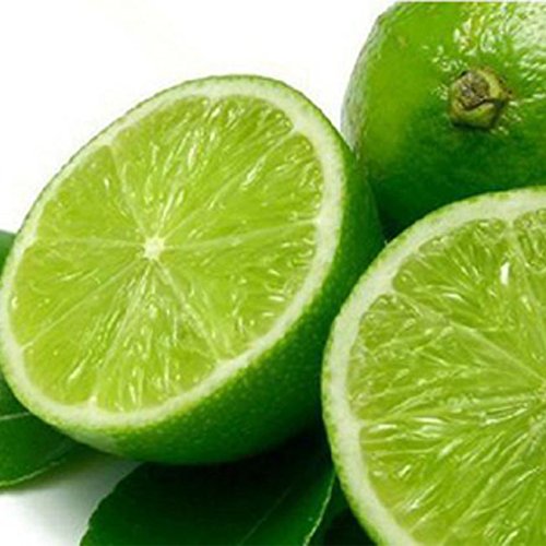 Creative Farmer Fruit Seeds : Lemon, Citrus Limon Fruit Seeds Dwarf ...