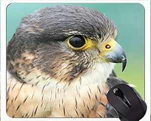 Amazon.com : Eagles Mouse Pad with Locking Edge,Falcon Mouse Pads ...