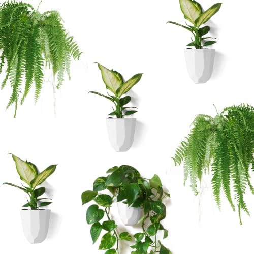 Amazon.com : Make Good Virgo Wall Planters (Wide, Set of 6) - Easy to ...