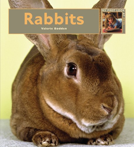Rabbits (My First Look at Pets) : Bodden, Valerie: Amazon.in: Books