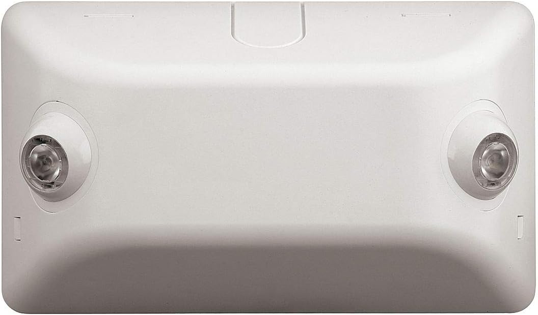 Hubbell Lighting 2 LED Lamps, Remote Light Fixture - Amazon.com