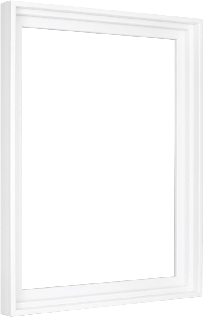 Amazon.com: MCS Canvas Float Frames 12x16 Frame, White Frame for ...