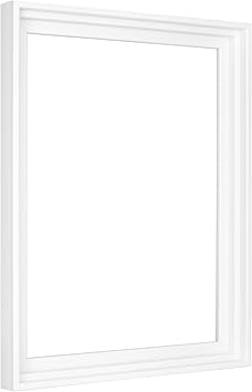 Amazon.com: MCS Canvas Float Frames 12x16 Frame, White Frame for ...