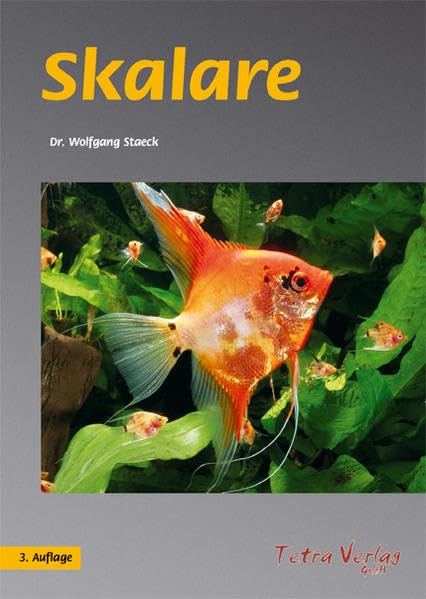 Skalare Aquarium – Die 15 besten Produkte im Vergleich - Aquaristik