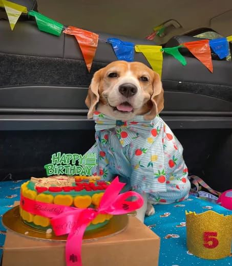 Wrap In Fur Dog Frock, Dog Everyday Wear Frock, Dog Birthday Frock, Dog ...