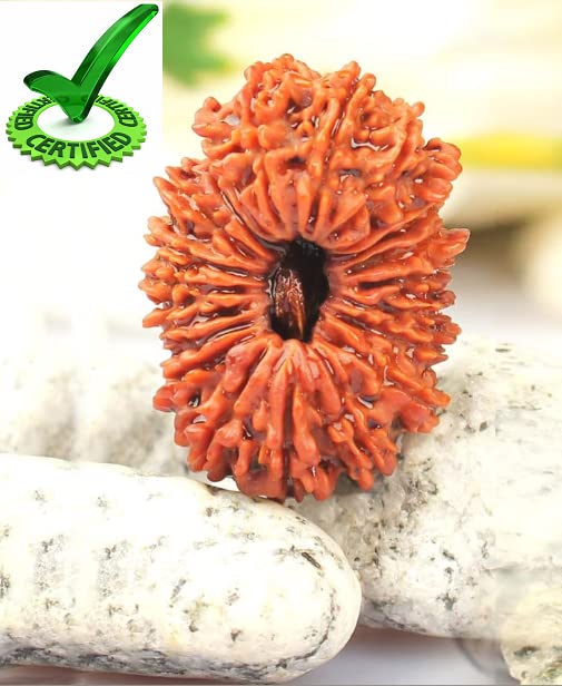 Alaska Gems Gallery Natural Faces Ekkis Mukhi Most Pious Gift of Nature ...