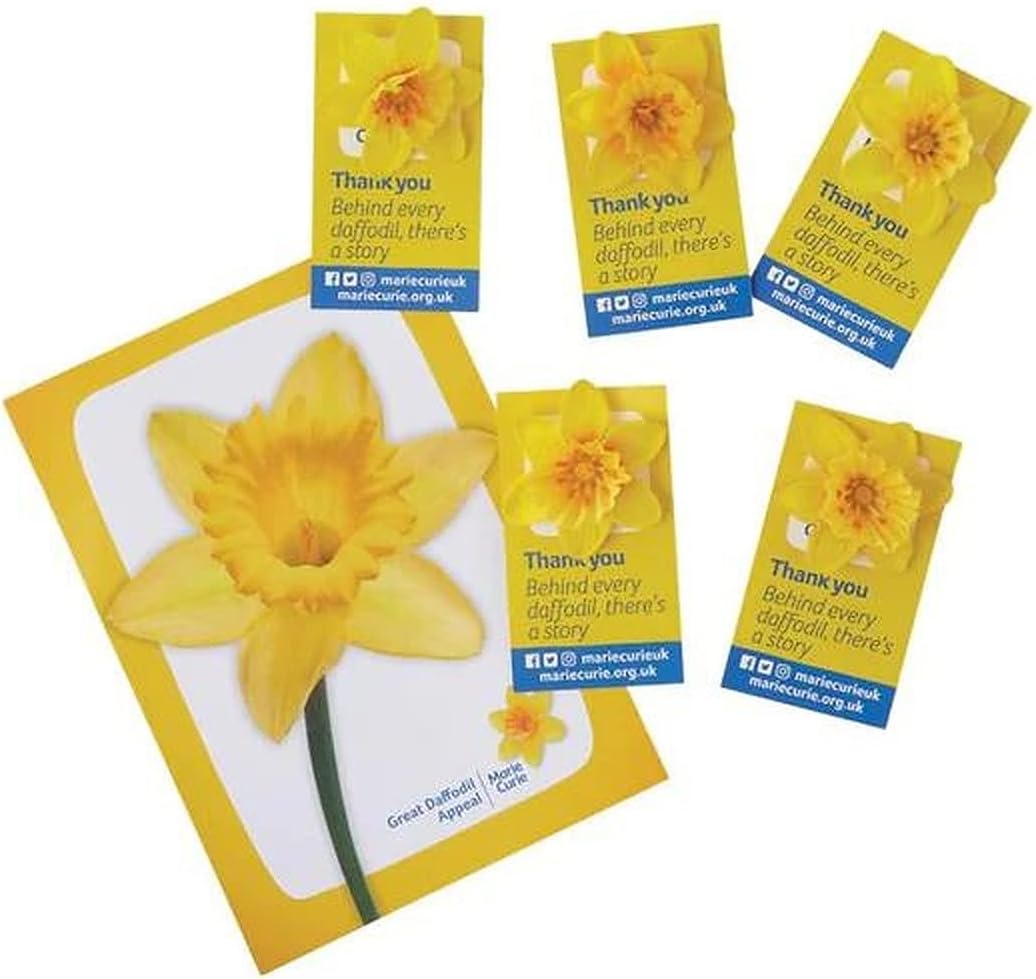 Marie Curie Great Daffodil Appeal Daffodil Pin Badges Pack of 5 ...