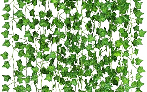 Die 16 besten Rank Pflanzen - Produktratgeber