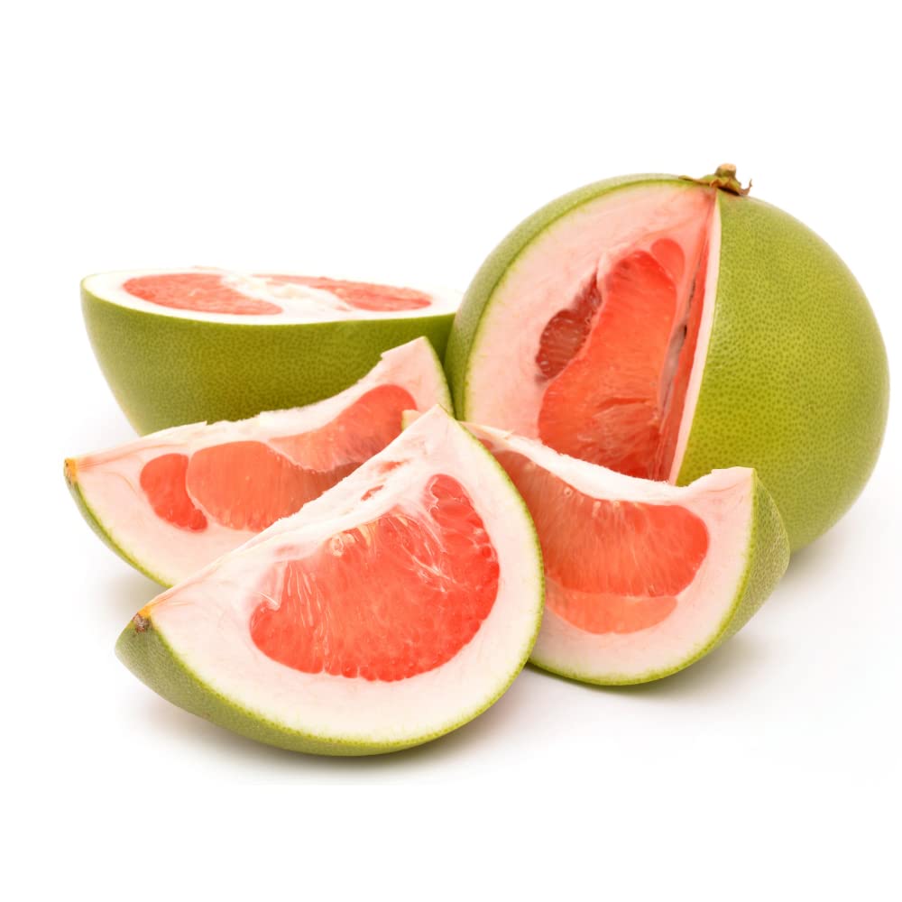 Sweet Citrus Pomelo, Chakotra, Gagar Nimbu (Healthy Live Plant -Grafted ...