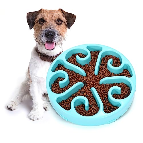 Stop Doggie Speed Eating! Top 10 Slow Eating Bowls for Healthy Pup Chow ...