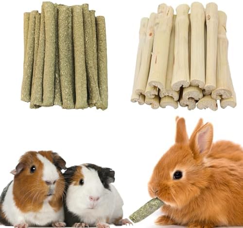 Amazon.com : IMVNIKA Rabbit Chew Toys for Teeth,Natural Sweet Bamboo ...
