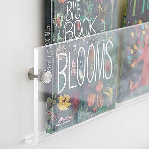 Amazon.com: XOHYW 2 Pack Clear Acrylic Magazine Holder, Wall Mount ...