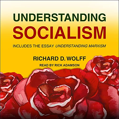 Amazon.com: Understanding Socialism (Audible Audio Edition): Richard D ...