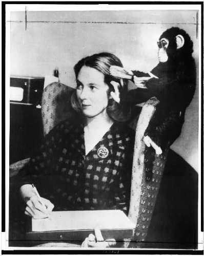 INFINITE PHOTOGRAPHS Photo: Jane Goodall,with Stuffed Monkey 1962 ...