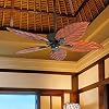 Amazon.com: Honeywell Ceiling Fans Willow View, 52 Inch Tropical Indoor ...