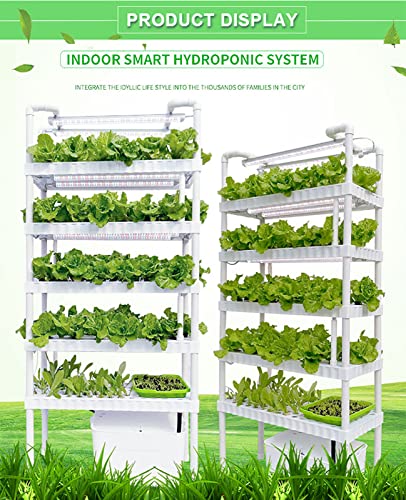 NDRFAWY Hydroponics Multi Level Growing Systems,5 Layers Indoor ...