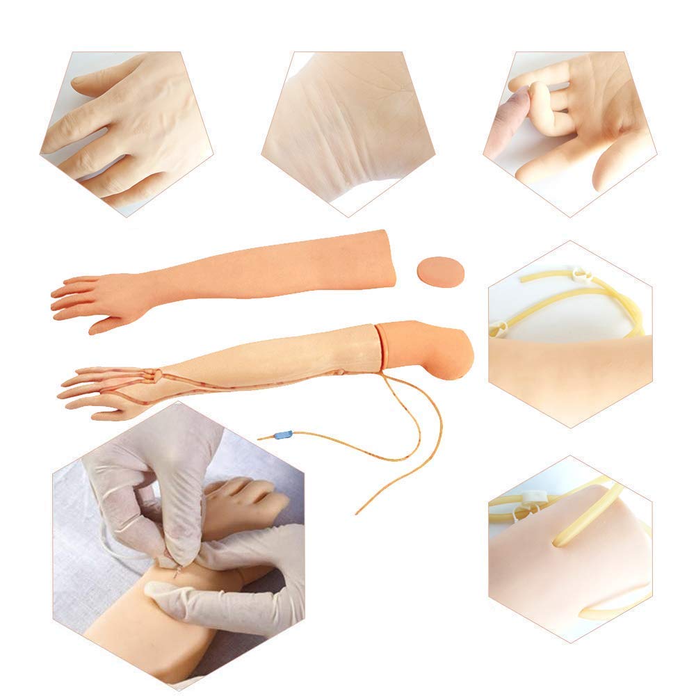 Buy ZLF Arm IV Practice Model- Venipuncture Practice Kit - Phlebotomy ...