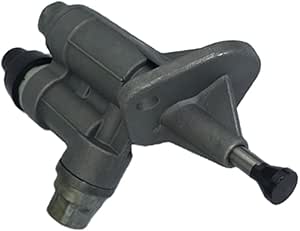 Amazon.com: Jeimgrso Fuel Pump 3918000 3914319 Compatible with Cummins ...