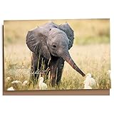 ・ブランド:Tree-Free Greetings・製造元:Tree-Free Greetings・モデル:FS66955・製造元/メーカー部品番号:FS66955・ボックス入り文房具ノートカード12枚(4x6インチ)、同色の封筒付き。内側...
