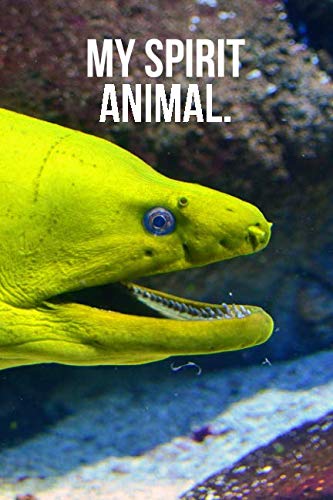 Buy My Spirit Animal: Moray Eel Journal Book Online at Low Prices in ...