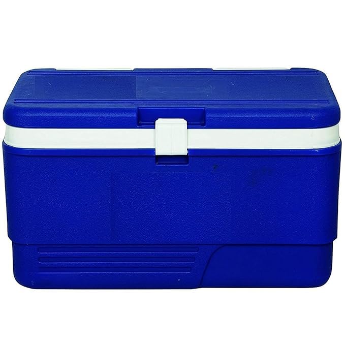 GNOLY 50 Litre Plastic Insulated Icebox Chiller Ice Box Ice Packs ...