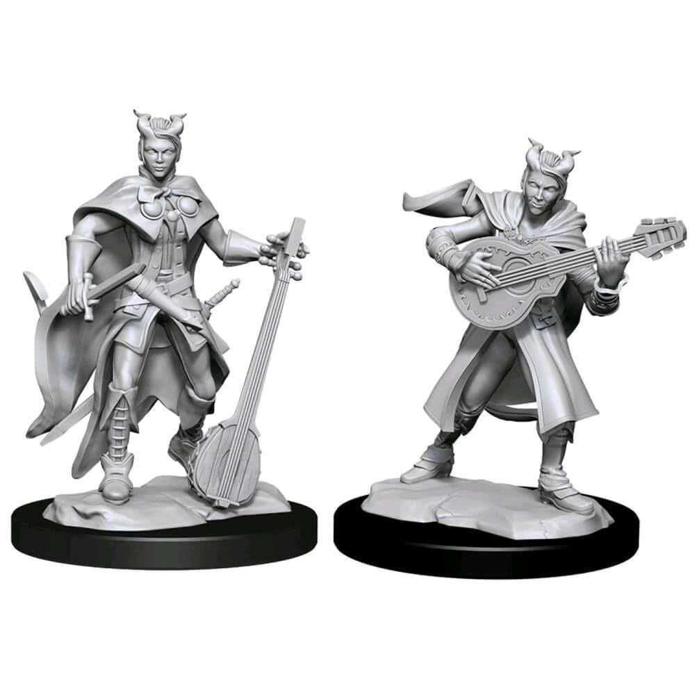 D D Bard Miniature