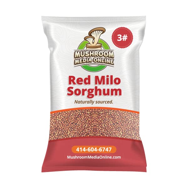 Amazon.com : MushroomMediaOnline - Red Sorghum (Milo) Mushroom ...