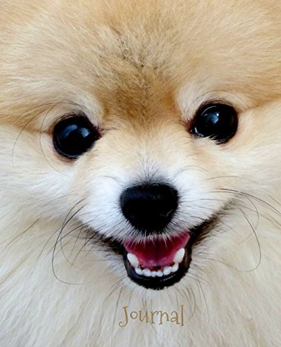 Journal: Miniature Spitz: Publications, Dreamflight: 9781973239840 ...