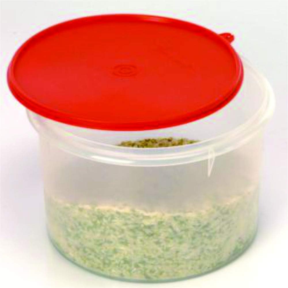 Amazon.com: Tupperware Small Super Storer, 2 Litres : Home & Kitchen