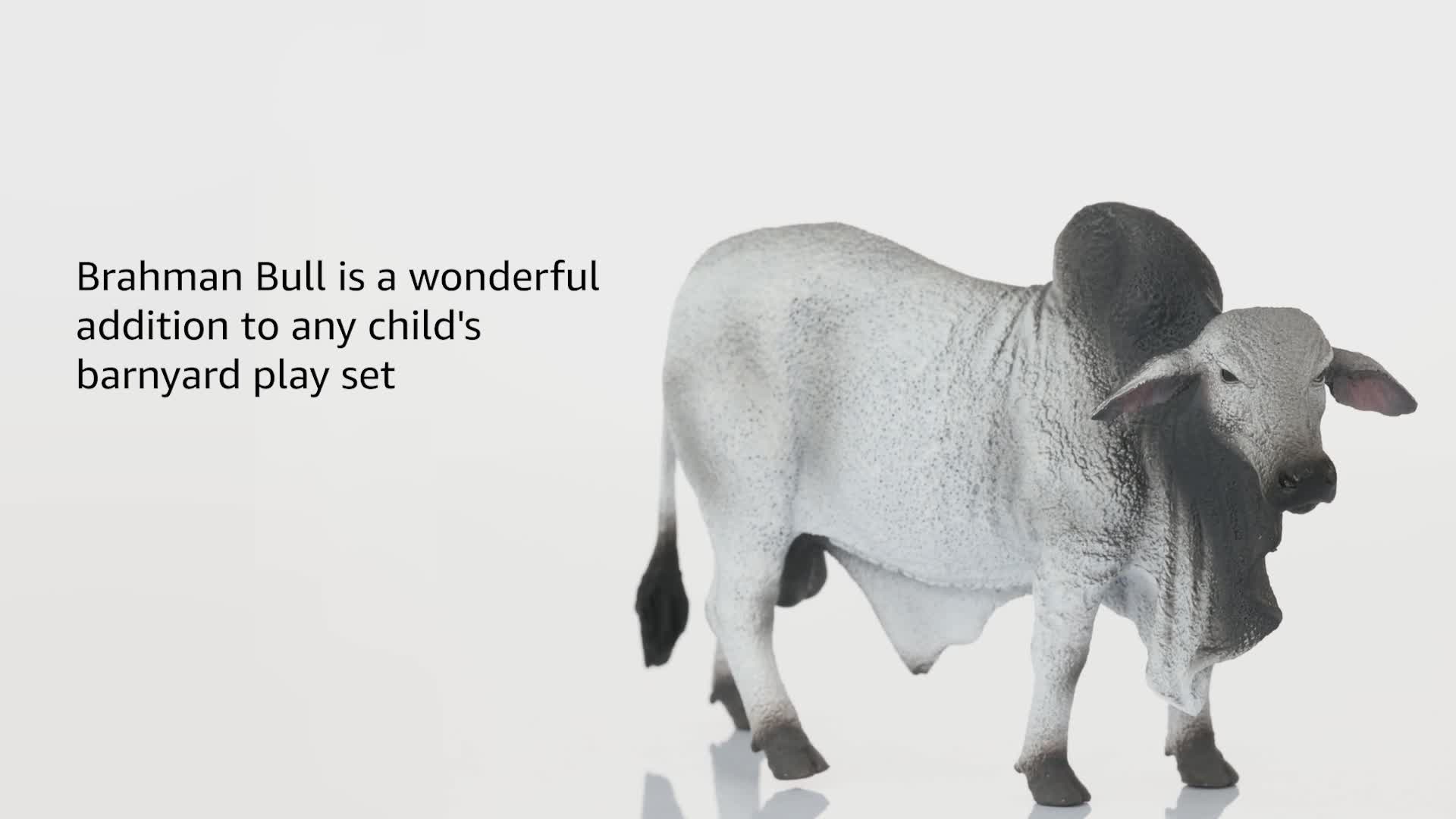 Brahman Bull
