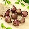 Amazon.com: Wavwavw 12 Pcs Fake Figs Artificial Fruit Bulk Faux Figs ...