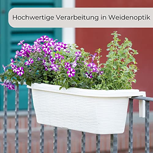Schöne Geländer Blumenkasten Lidl Bilder