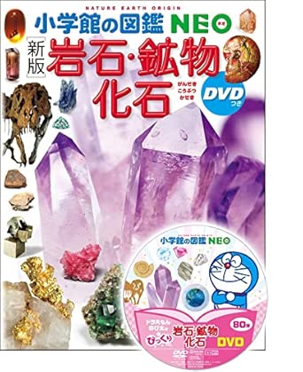 Buy Rocks, Minerals, Fossils (New Edition) with DVD (Shogakukan ...