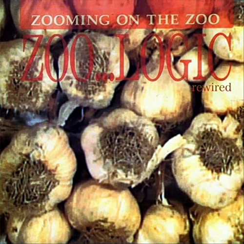 Play Zoo...Logic Rewired by Zooming On the Zoo on Amazon Music