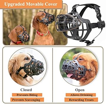 How Do You Muzzle Train An Aggressive Dog
