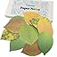 Amazon.com : Pepexia 600 Sheets Cute Tree Leaf Sticky Notes/Paper Memo ...