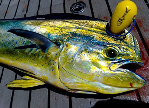 10 Best Spikes Fish Products for Happy and Healthy Aquariums: A ...